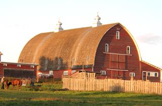 Big barn once known for dairying and dancing