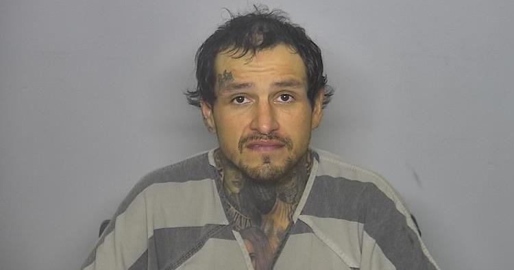 Jury finds Lone Fight guilty on most counts in park chase case