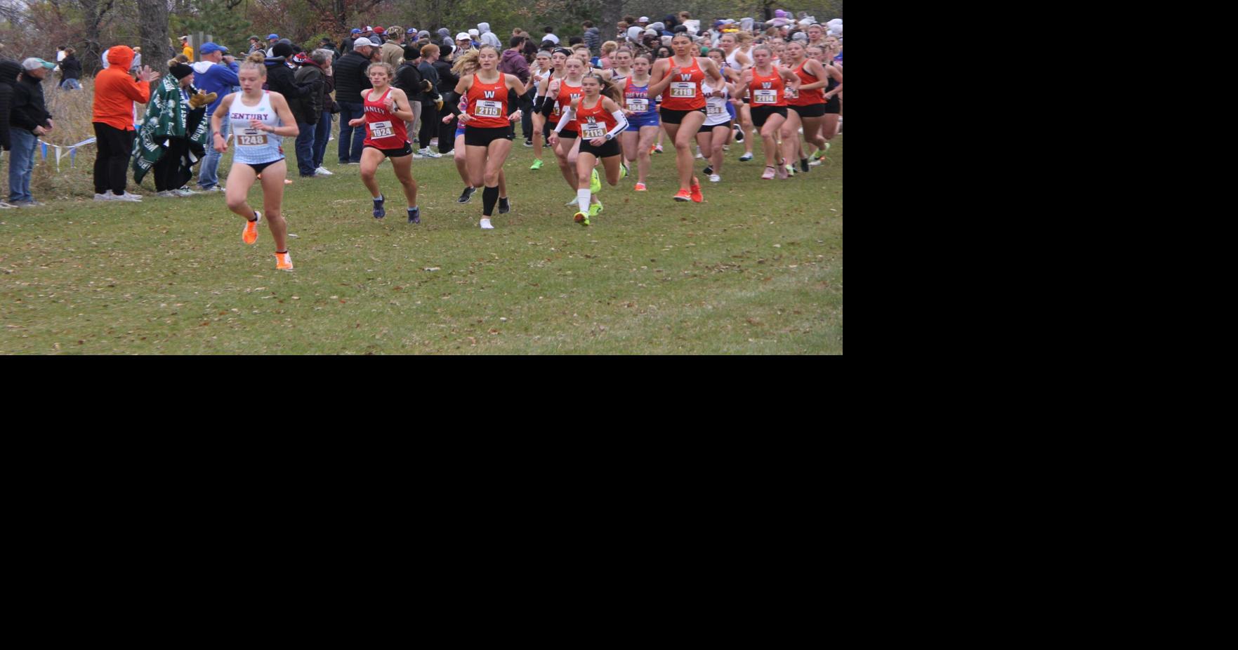 Ihmels, Hintz win state cross country titles