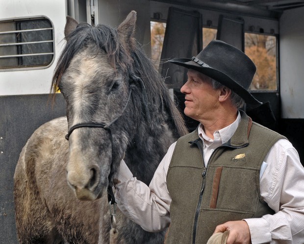 Wild horse thrives in training regiment