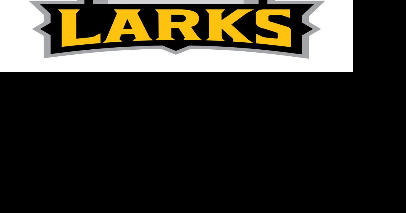 Rochester sweeps Larks in twin bill