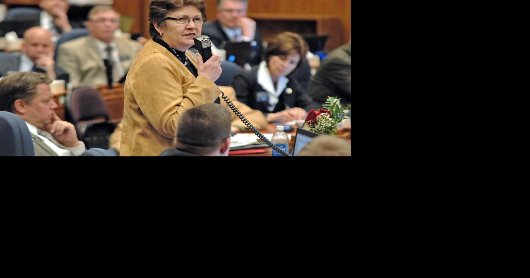 Rep. Diane Larson to run for state Senate