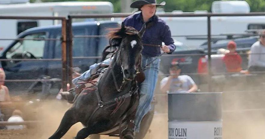 Crash kills 2 horses, injures a third owned by barrel racer