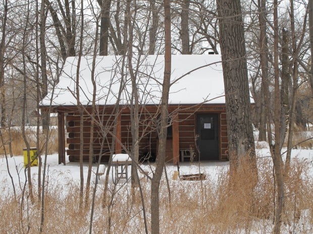Cross Ranch trails groomed through the cottonwoods