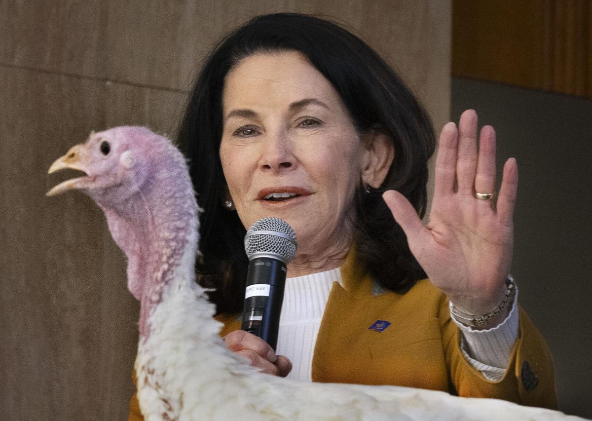 Tammy Miller pardons turkey, Turkey Federation donates birds