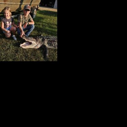 Alligator hunting season 2023 in the Black Belt is in the books: photo ...
