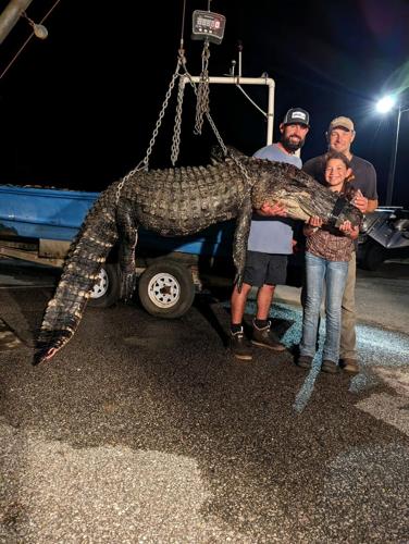 Alligator hunting season 2023 in the Black Belt is in the books: photo ...