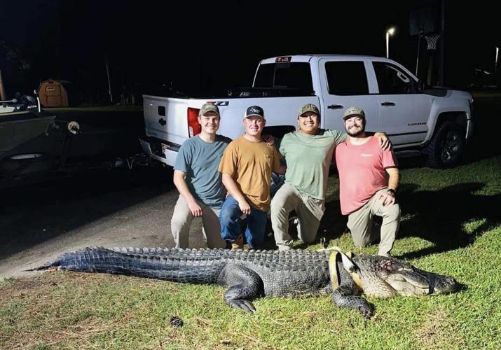Alligator hunting season 2023 in the Black Belt is in the books: photo ...