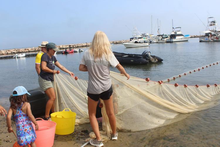 Seining in Old Harbor - A new weekly offering from The Nature ...