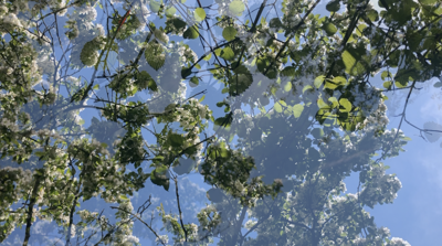 ‘day / / night’ at Spring Street Gallery | News | blockislandtimes.com