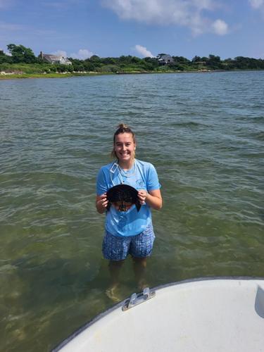 2023 midsummer report from the flats | News | blockislandtimes.com