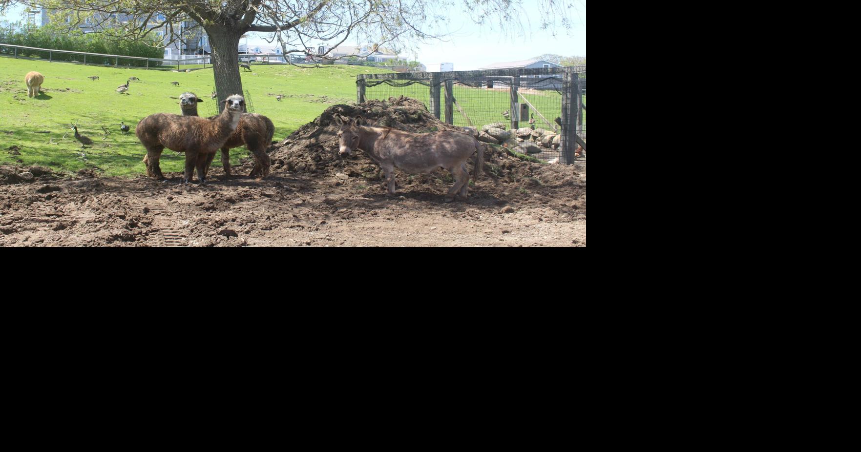 Town considers beer and wine license for 1661 Farm and Gardens | News ...