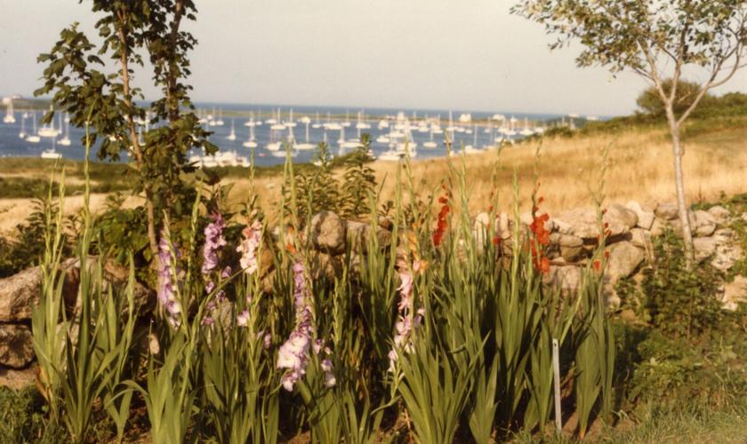 Echoes from a New England town meeting | Columnists | blockislandtimes.com