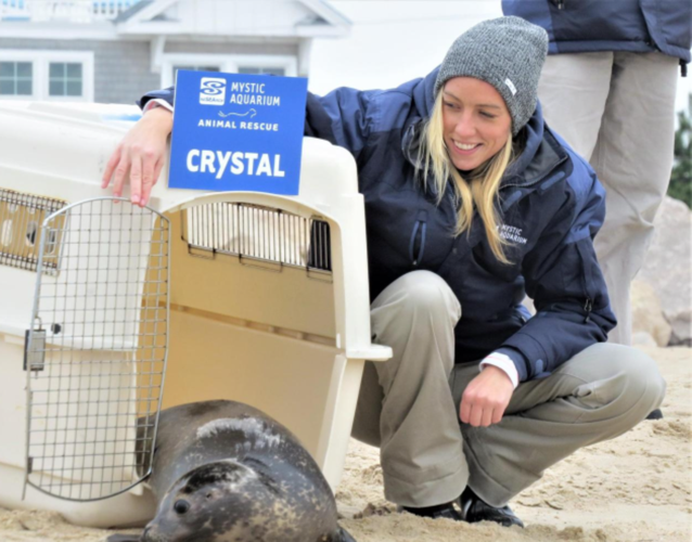 Tuesday Night Talks to feature Sarah Callan and Meg Rondeau | News ...