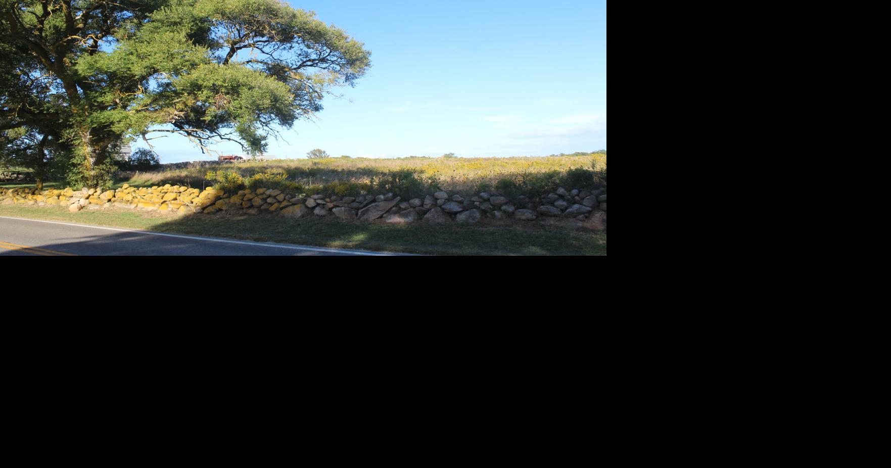 BILT buys stake in Mitchell Farm | News | blockislandtimes.com