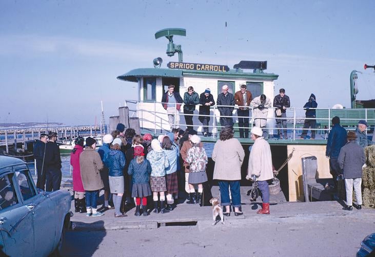Who would ever want to leave Block Island? The introduction of deer in ...