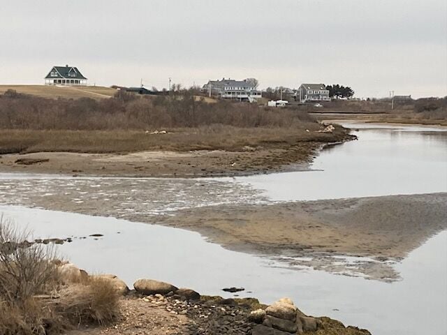 Appearances of March | Columnists | blockislandtimes.com