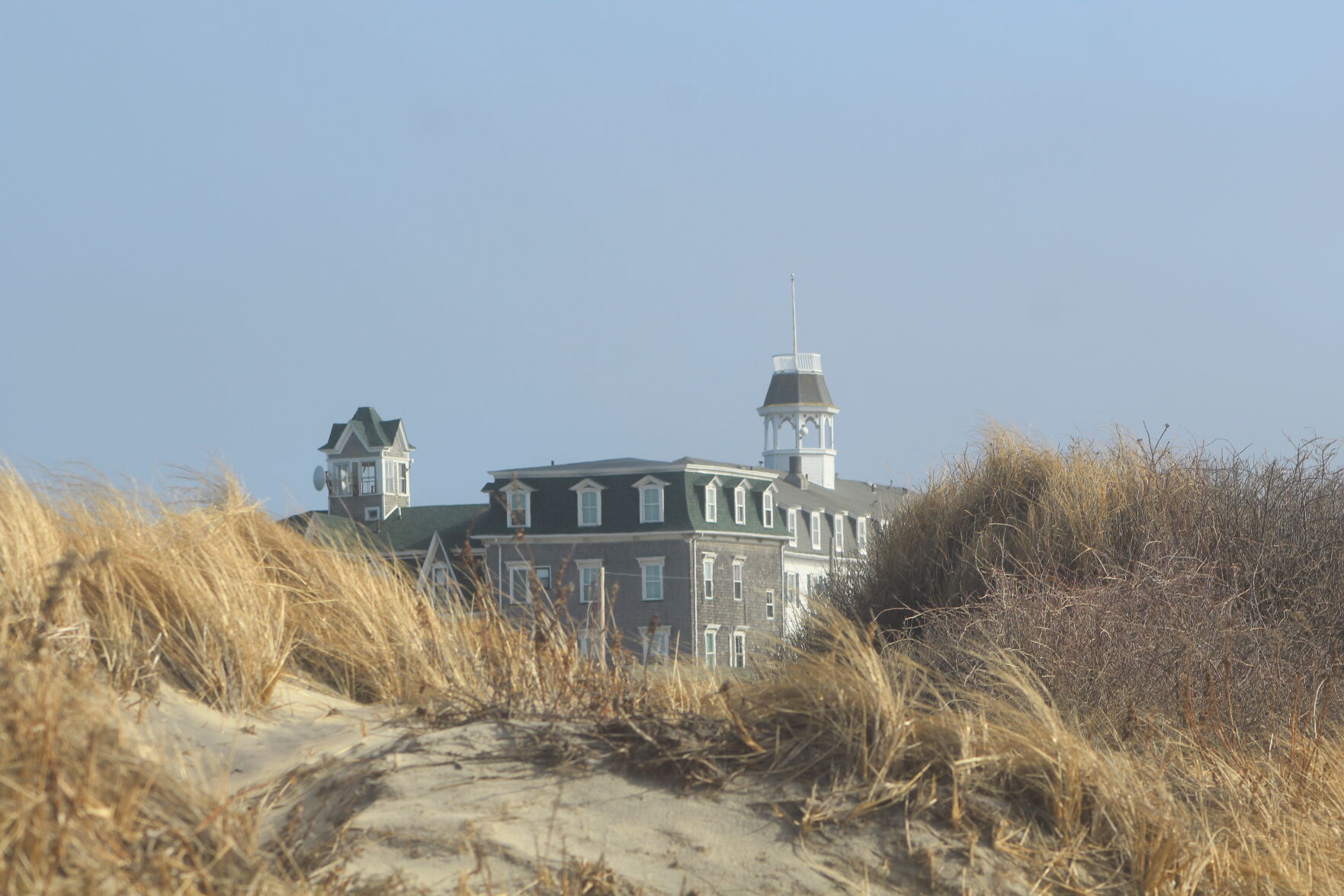 Council gets serious on ticks and hunting | News | blockislandtimes.com