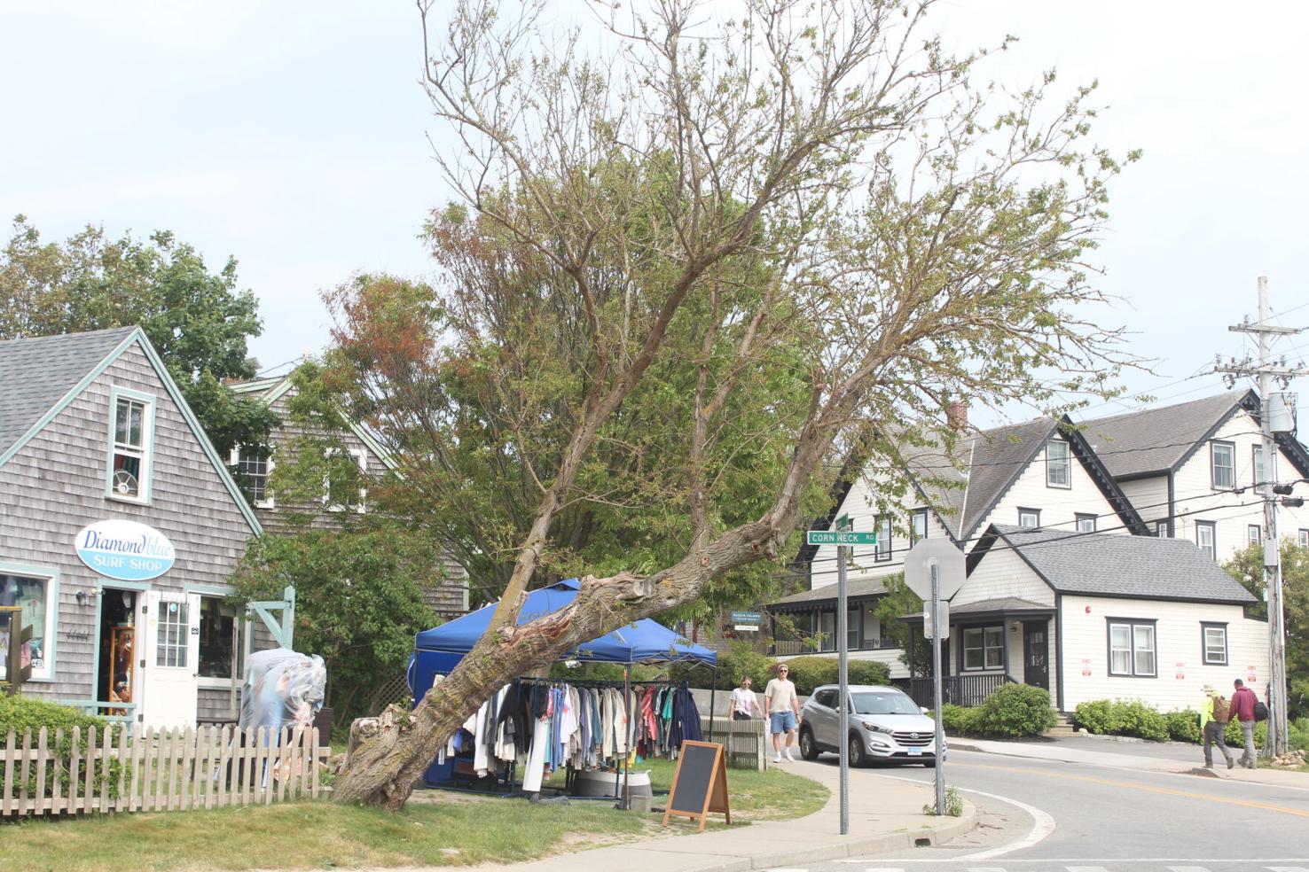 Conservation Commission considers reaching out to others in Rhode ...