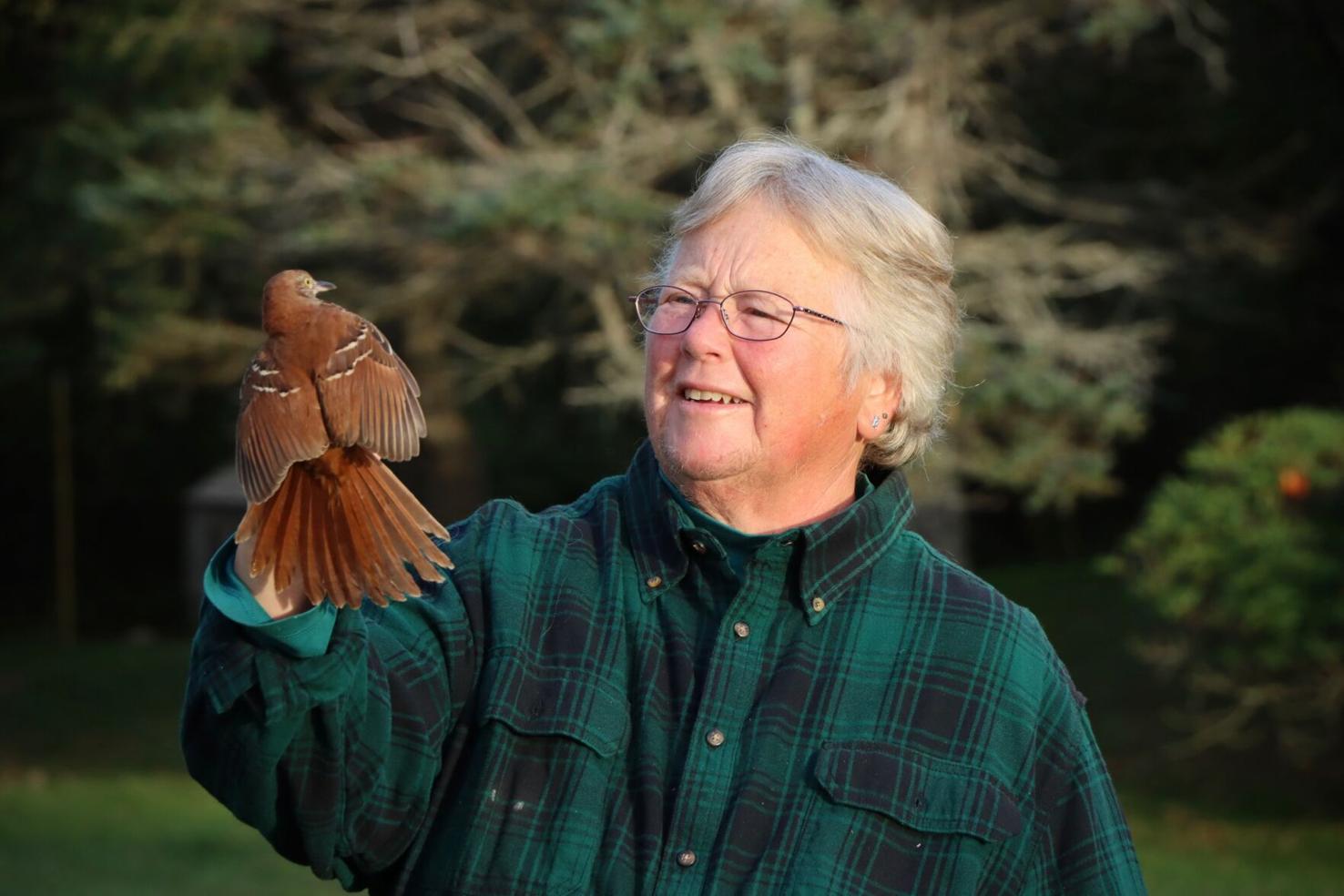 Rhode Island Natural History Survey to honor Kim Gaffett with major ...