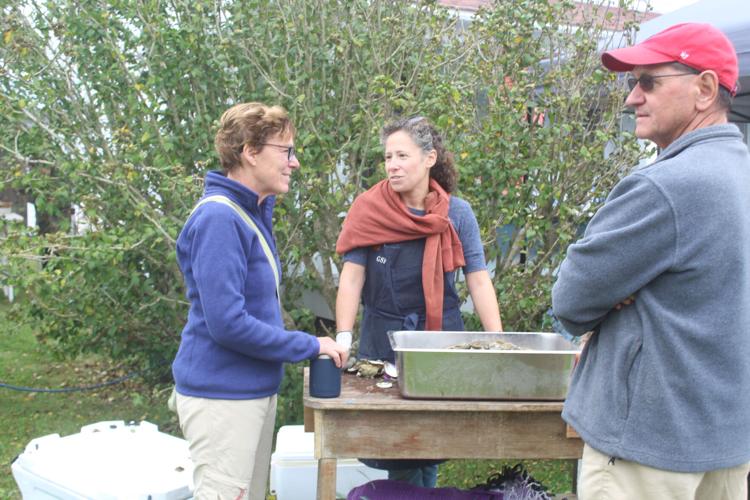 First Passport to the Arts Celebration draws a crowd | News ...