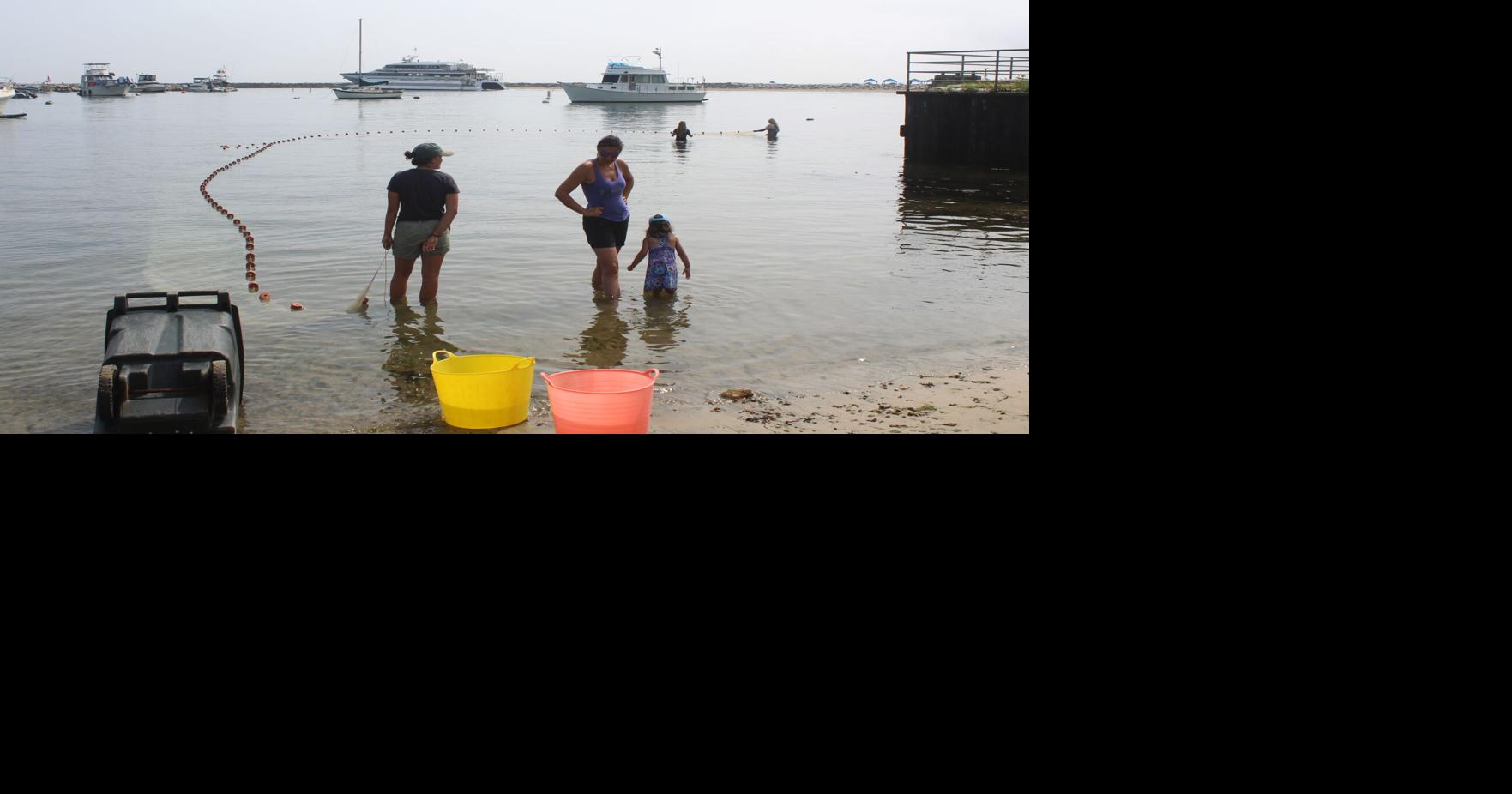 Seining in Old Harbor - A new weekly offering from The Nature ...
