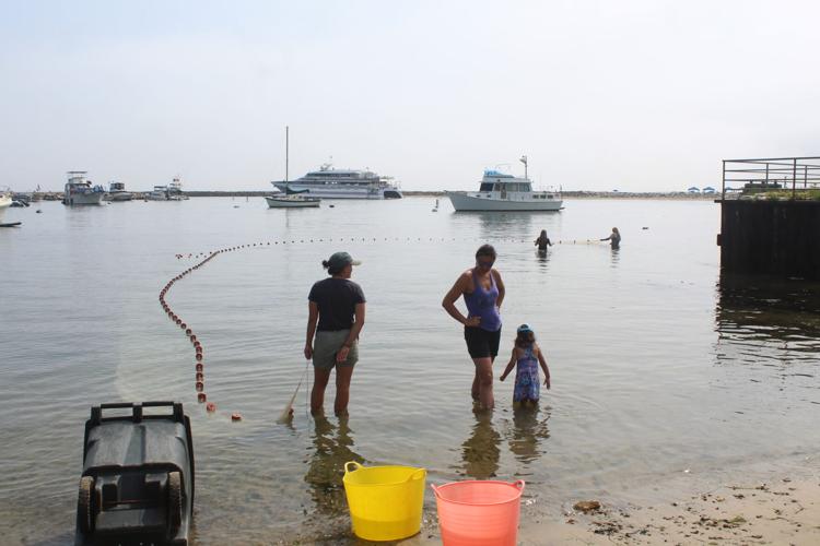 Seining in Old Harbor - A new weekly offering from The Nature ...