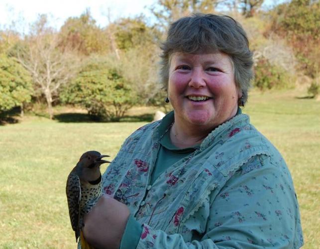 Island bird study reveals good news for migrating songbirds | News ...