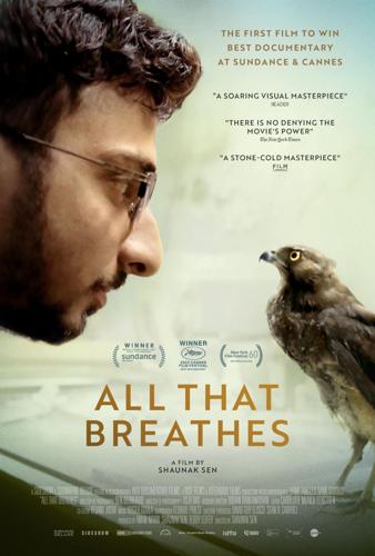 February Birds and ‘All That Breathes’ | Columnists | blockislandtimes.com