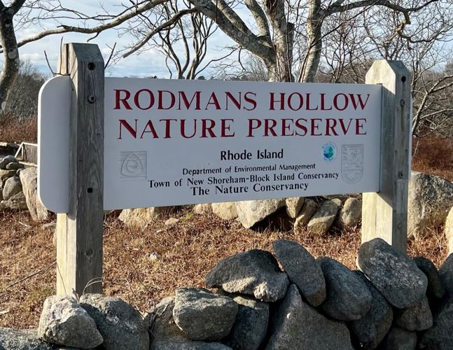 In Case You Were Curious: Rodman’s Hollow | News | blockislandtimes.com