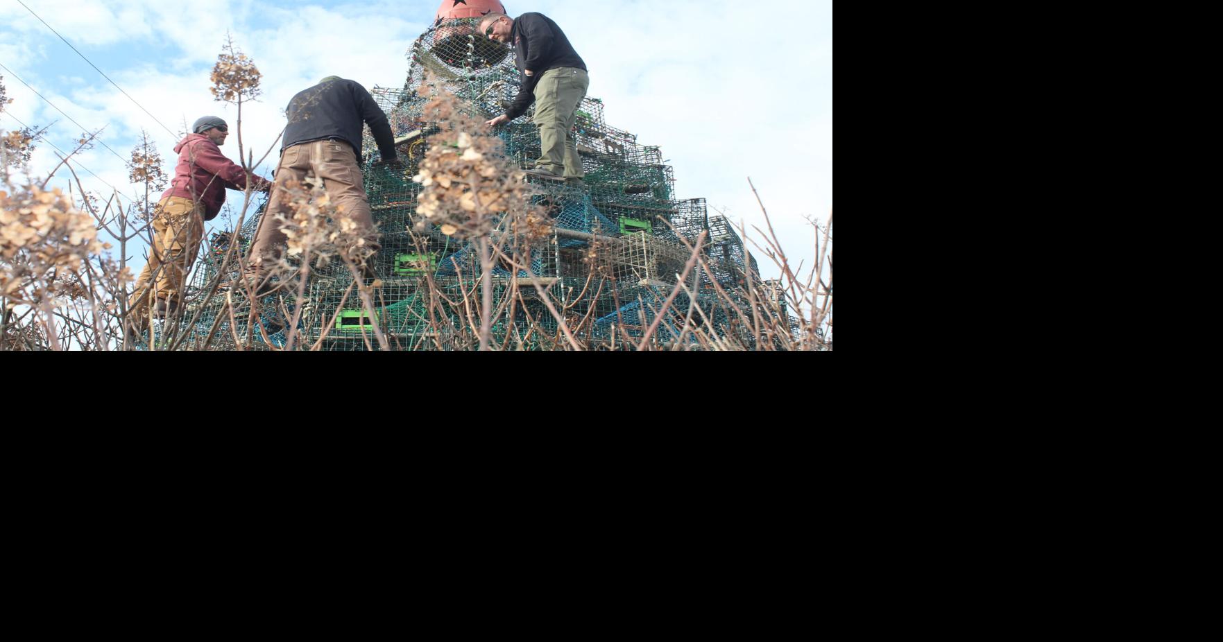 Things to be thankful for – the Lobster Pot Tree | News ...