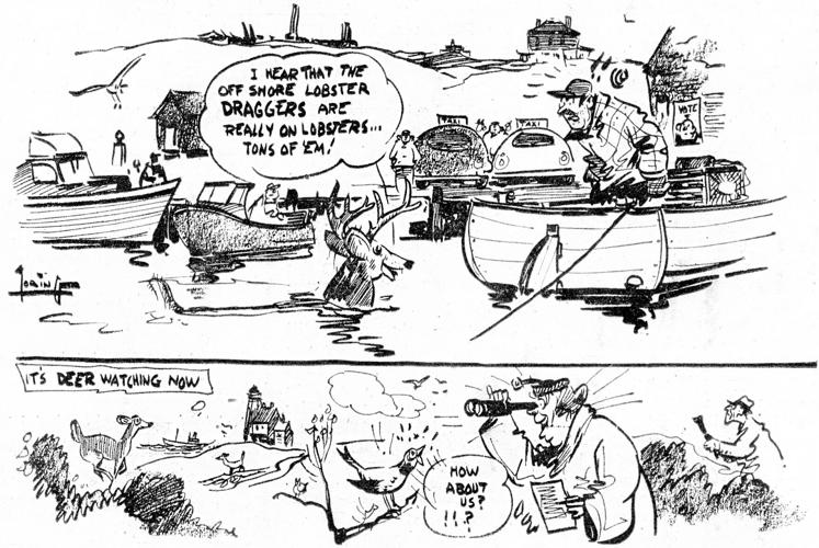 Who would ever want to leave Block Island? The introduction of deer in ...