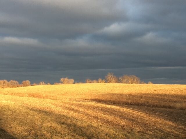 Things to be thankful for - Block Island Land Trust acquires Ball Farm ...