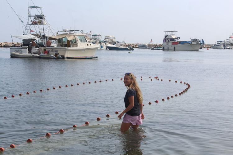 Seining in Old Harbor - A new weekly offering from The Nature ...