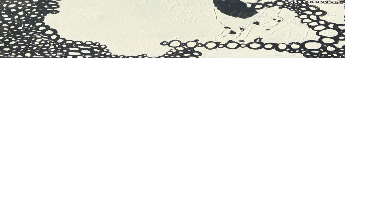 Art Around Town - Austin Morin at Spring Street Gallery | News ...