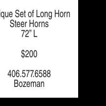Antique Set of Long Horn Steer | Antiques & Collectibles ...