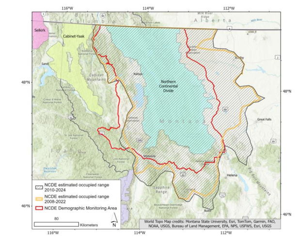 NCDE grizzly bears expand range by 12%, GYE range declines | News ...
