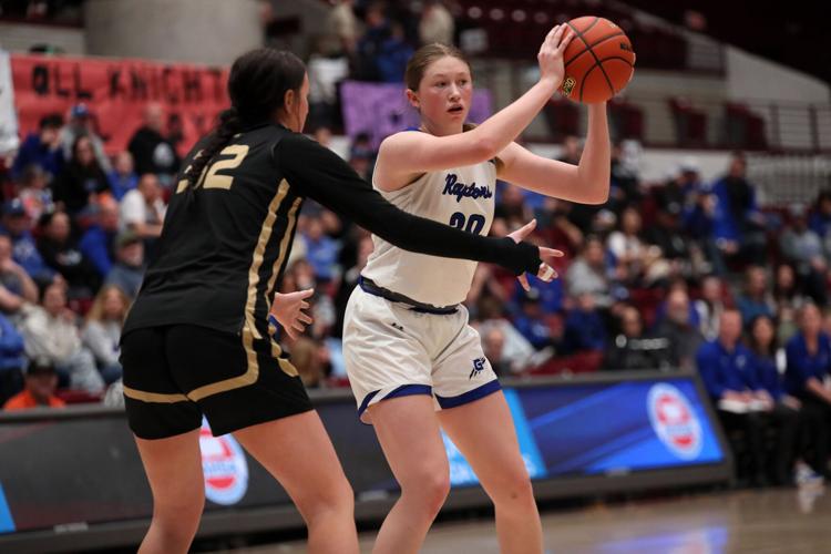 Gallatin girls end season with loss in Class AA third place game to ...