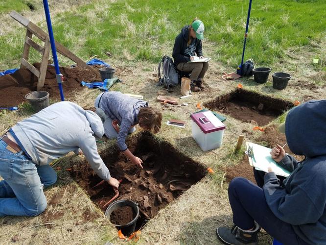 MSU study links drought to abandonment of Montana bison site | News ...