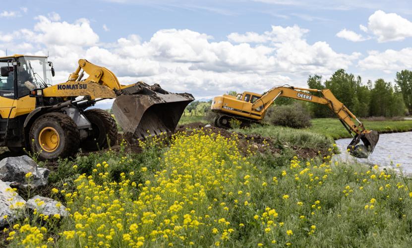 Gallatin Valley ranchers deal with flood impacts | Agriculture ...