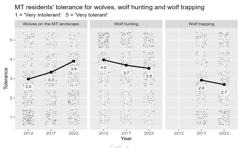 Wolves: Love them or hate them, numbers show increasing tolerance ...