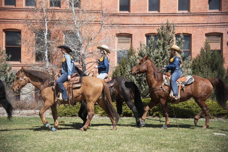 'One of the best': Bobcat Spring Rodeo kicks off this weekend ...