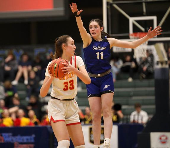 Size mismatch, offensive inconsistency cost Gallatin girls in loss to ...