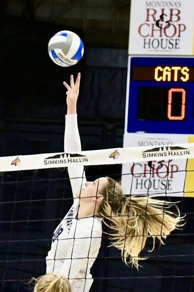 Montana State volleyball breaks own attendance record but falls to ...