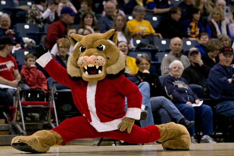 MSU vs. Carroll College | Sports | bozemandailychronicle.com