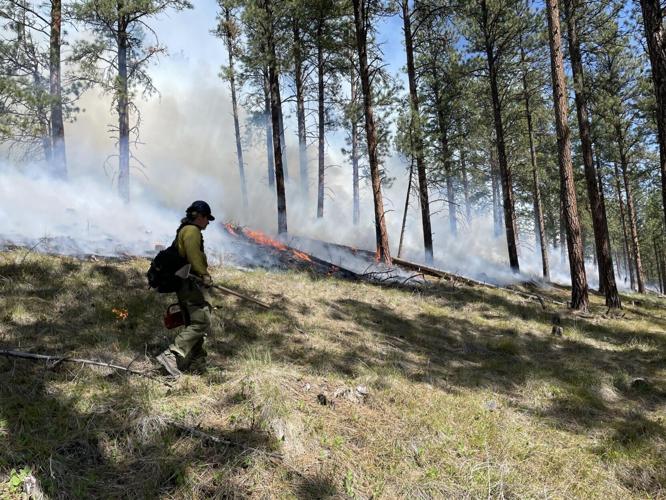 Forest Service goes 'full suppression' on wildfires | News ...