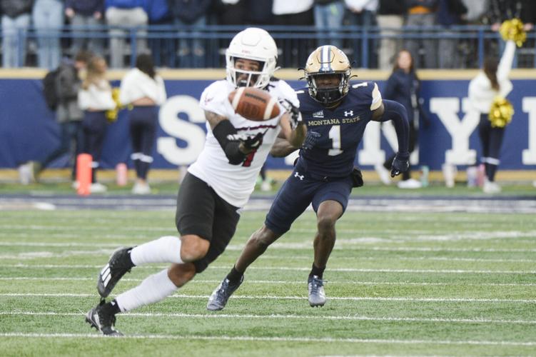 Montana State DB Andrew Powdrell relies on 'fearless nature,' banked ...