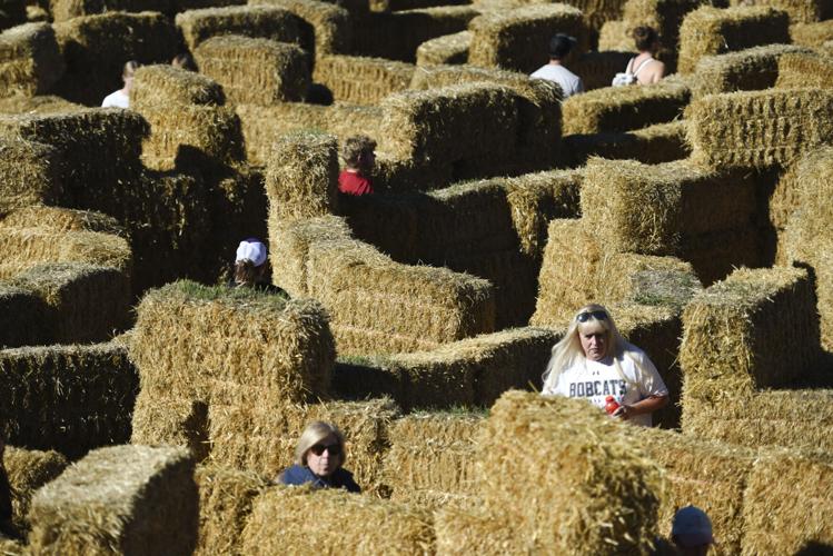 Bozeman Maze befuddles families for fall fun | News ...