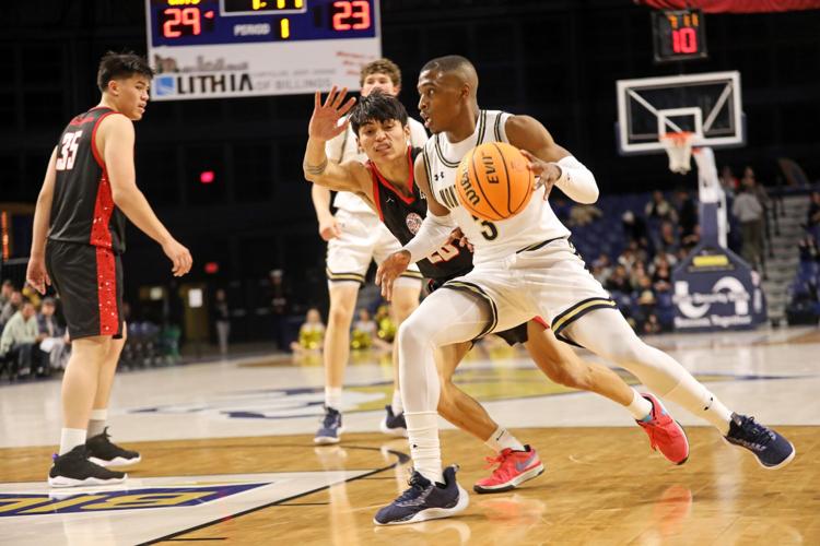 Matt Logie era of Montana State men's basketball begins with win over ...