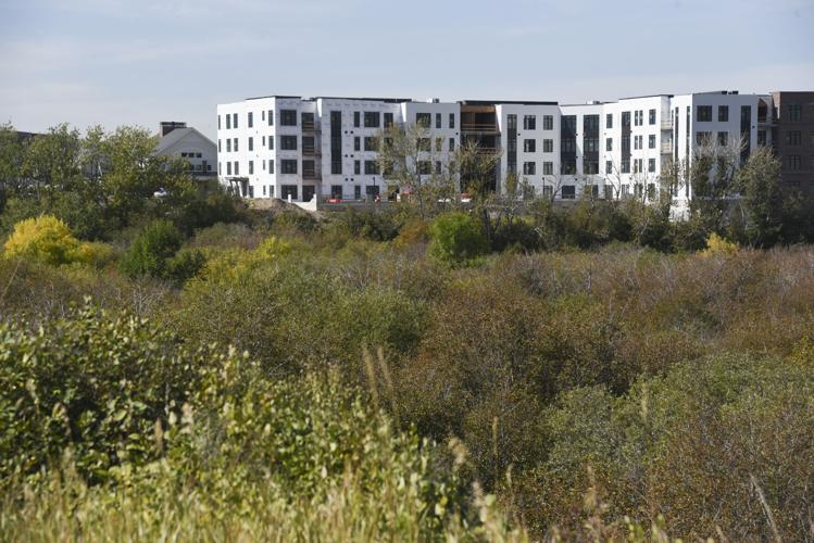 Stepping in: Bozeman working on updating wetlands code after SCOTUS ...